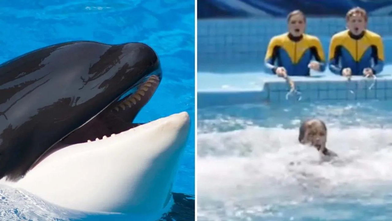 Jessica Radcliffe öldü mü? Orca eğitmeni Jessica Radcliffe kimdir ...