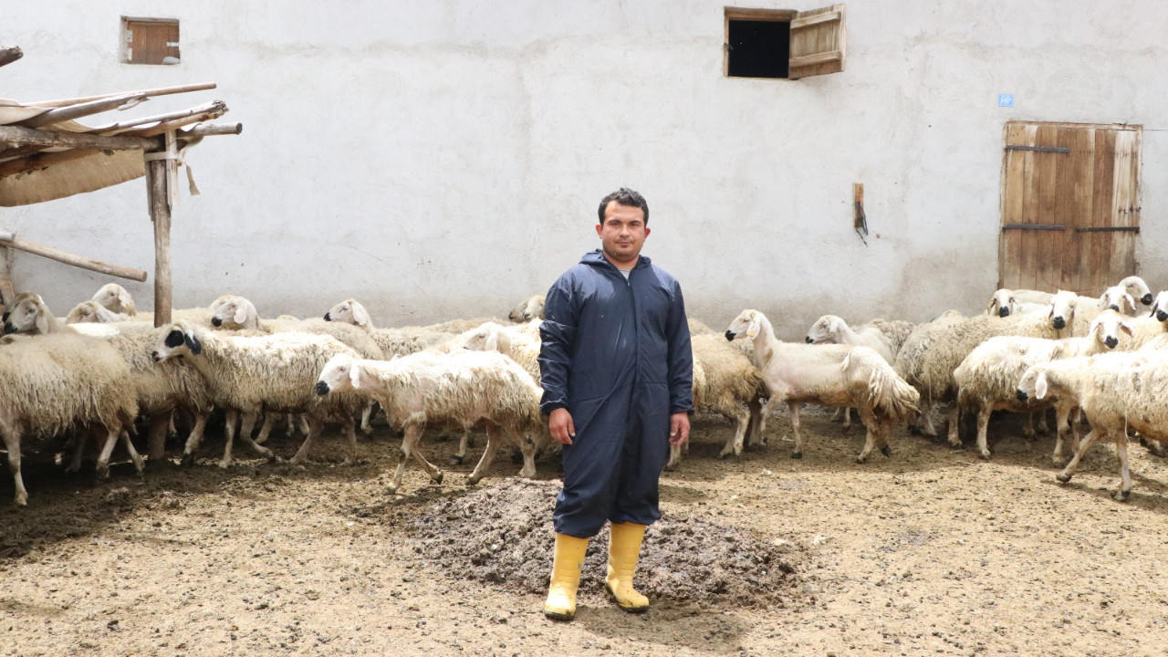 Hastalığı yendi, hayvancılıkta yeni bir sayfa açtı
